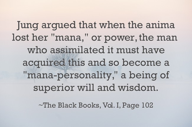Jung argued that when the anima lost her "mana," or power, - Quozio