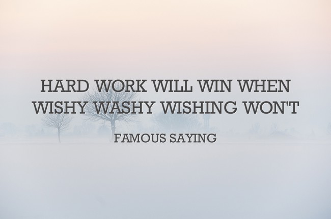 HARD WORK WILL WIN WHEN WISHY WASHY WISHING WON'T - Quozio