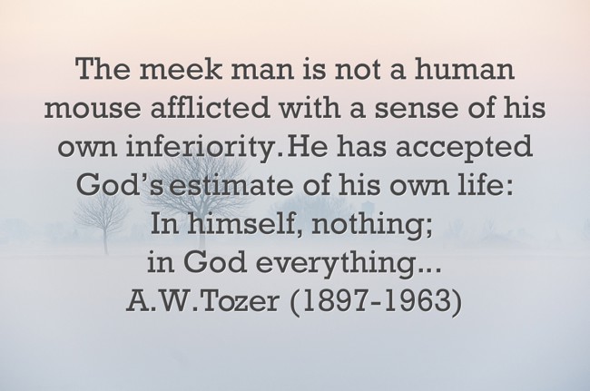 The meek man is not a human mouse afflicted with a sense of - Quozio