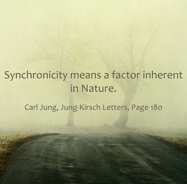 Synchronicity means a factor inherent in Nature. - Quozio