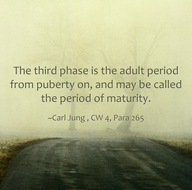 The third phase is the adult period from puberty on, and - Quozio