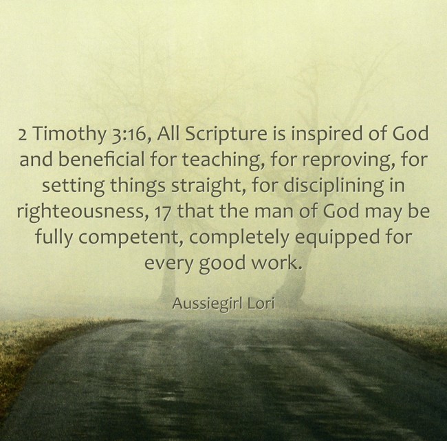 2 Timothy 3:16, All Scripture is inspired of God and - Quozio