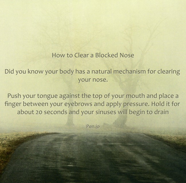 How to Clear a Blocked Nose Did you know your body has a - Quozio