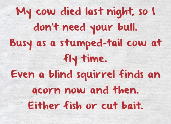 My cow died last night, so I don’t need your bull. Busy as - Quozio