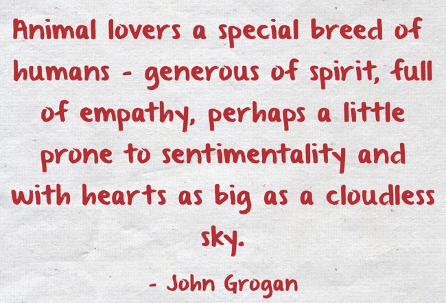 Animal lovers a special breed of humans - generous of - Quozio