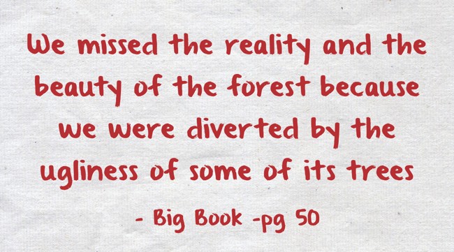 We missed the reality and the beauty of the forest because - Quozio