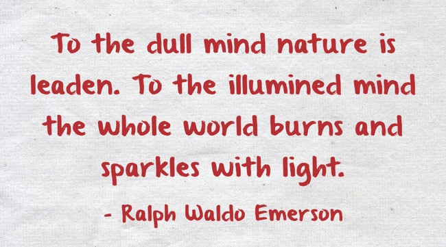 Dull Mind