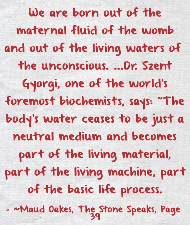 We are born out of the maternal fluid of the womb and out - Quozio