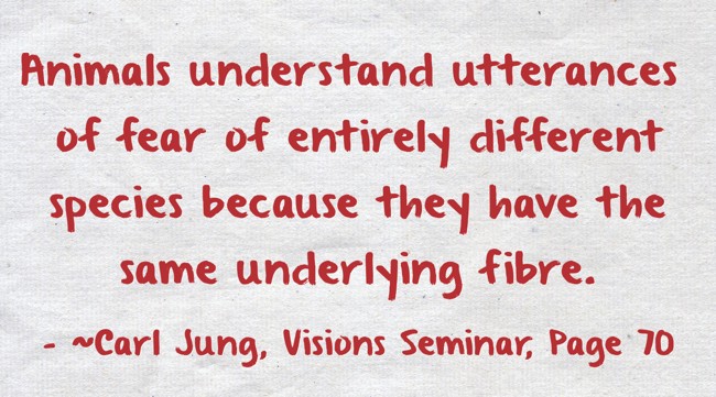 Animals understand utterances of fear of entirely different - Quozio