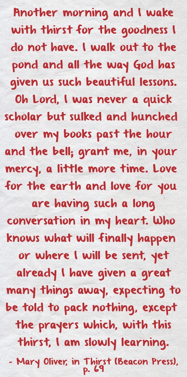 Another morning and I wake with thirst for the goodness I - Quozio