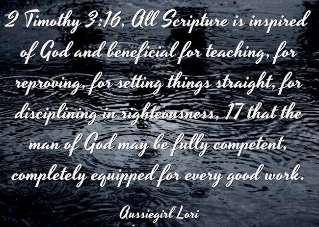 2 Timothy 3:16, All Scripture is inspired of God and - Quozio