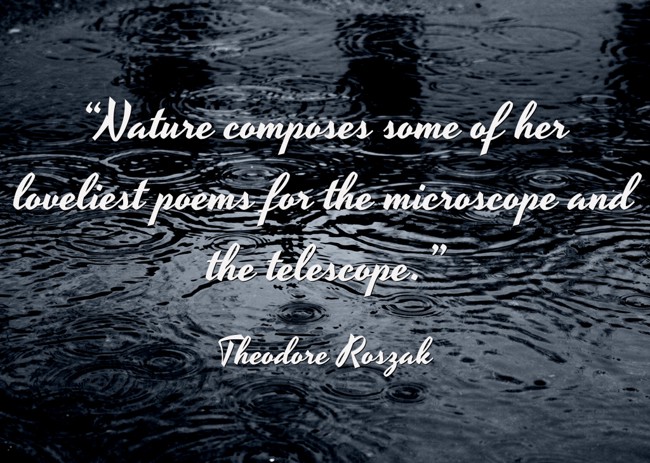 “Nature composes some of her loveliest poems for the - Quozio