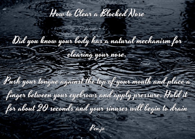 How to Clear a Blocked Nose Did you know your body has a - Quozio