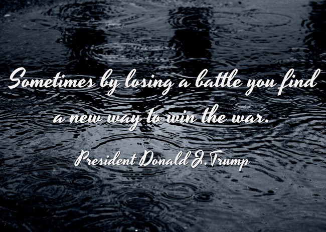 Sometimes by losing a battle you find a new way to win the - Quozio