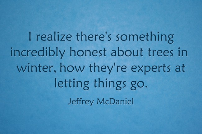 I realize there's something incredibly honest about trees - Quozio