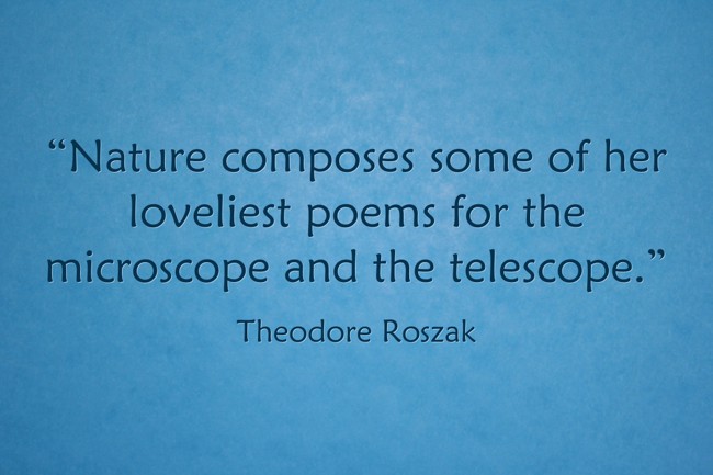 “Nature composes some of her loveliest poems for the - Quozio