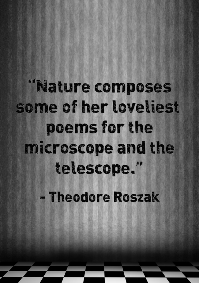 “Nature composes some of her loveliest poems for the - Quozio
