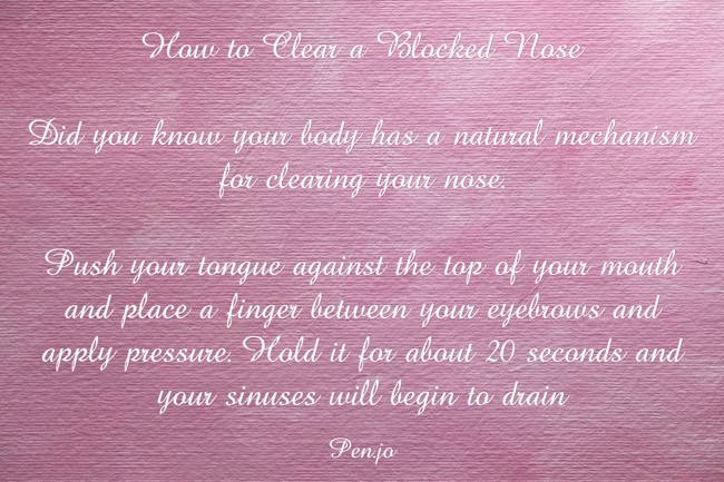 How to Clear a Blocked Nose Did you know your body has a - Quozio