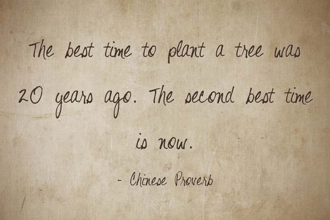 The best time to plant a tree was 20 years ago. The second - Quozio
