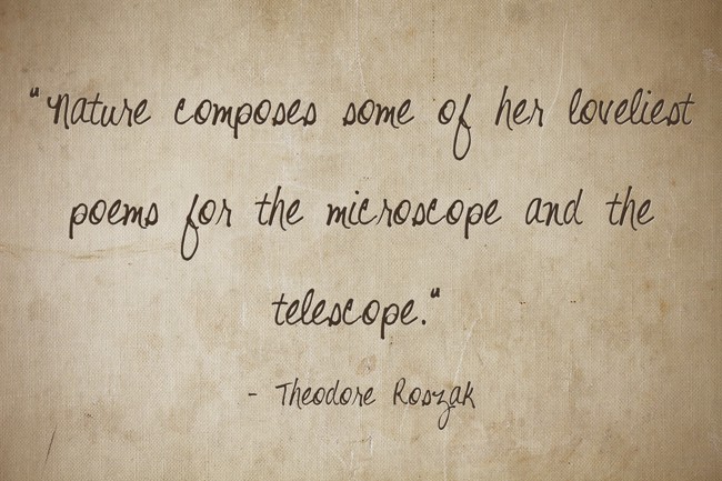 “Nature composes some of her loveliest poems for the - Quozio