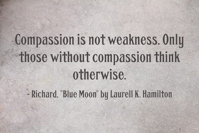 Compassion is not weakness. Only those without compassion - Quozio