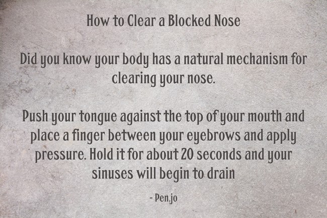 How to Clear a Blocked Nose Did you know your body has a - Quozio
