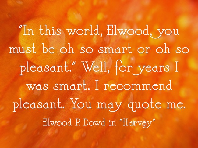 Elwood Dowd Quotes Harvey' (Elwood): "Harvey And I Sit In Bars And