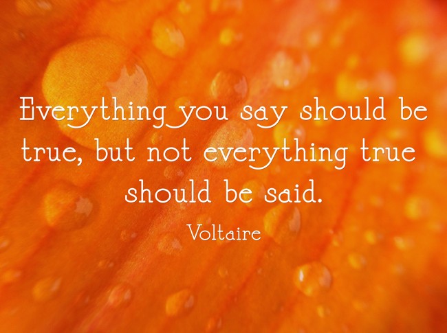 Everything you say should be true, but not everything true - Quozio