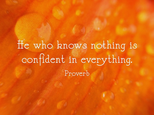 He who knows nothing is confident in everything. - Quozio