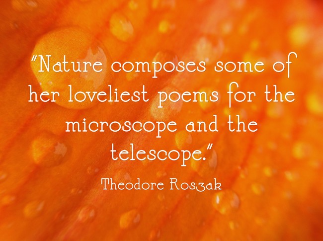 “Nature composes some of her loveliest poems for the - Quozio