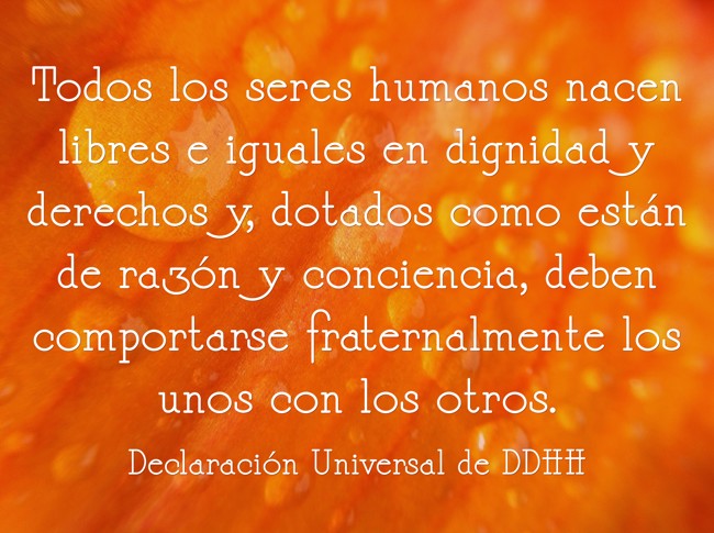 Todos Los Seres Humanos Nacen Libres E Iguales En Dignidad Quozio 9839