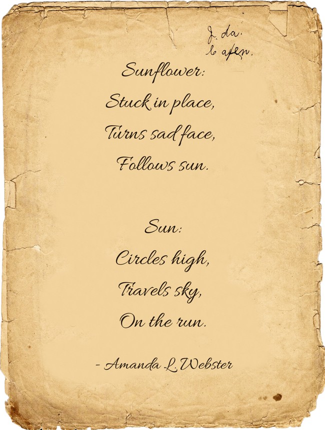Sunflower: Stuck in place, Turns sad face, Follows sun. - Quozio