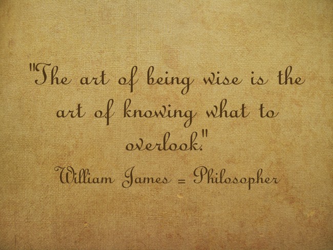 "The art of being wise is the art of knowing what to - Quozio