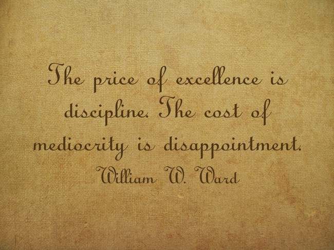 The price of excellence is discipline. The cost of - Quozio