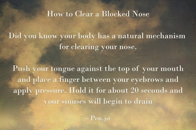How to Clear a Blocked Nose Did you know your body has a - Quozio