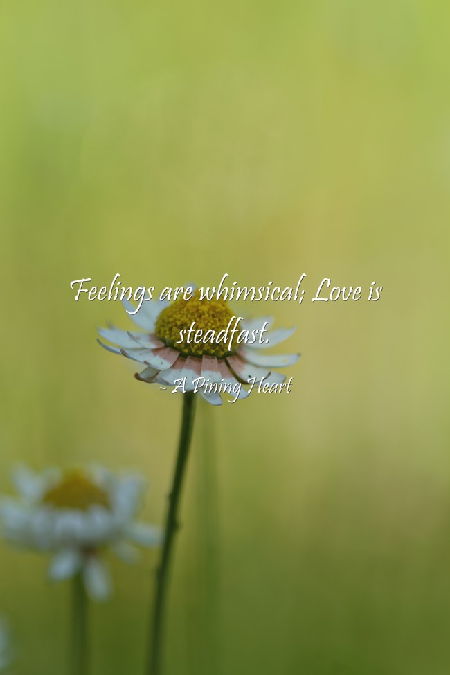 Feelings are whimsical; Love is steadfast. - Quozio