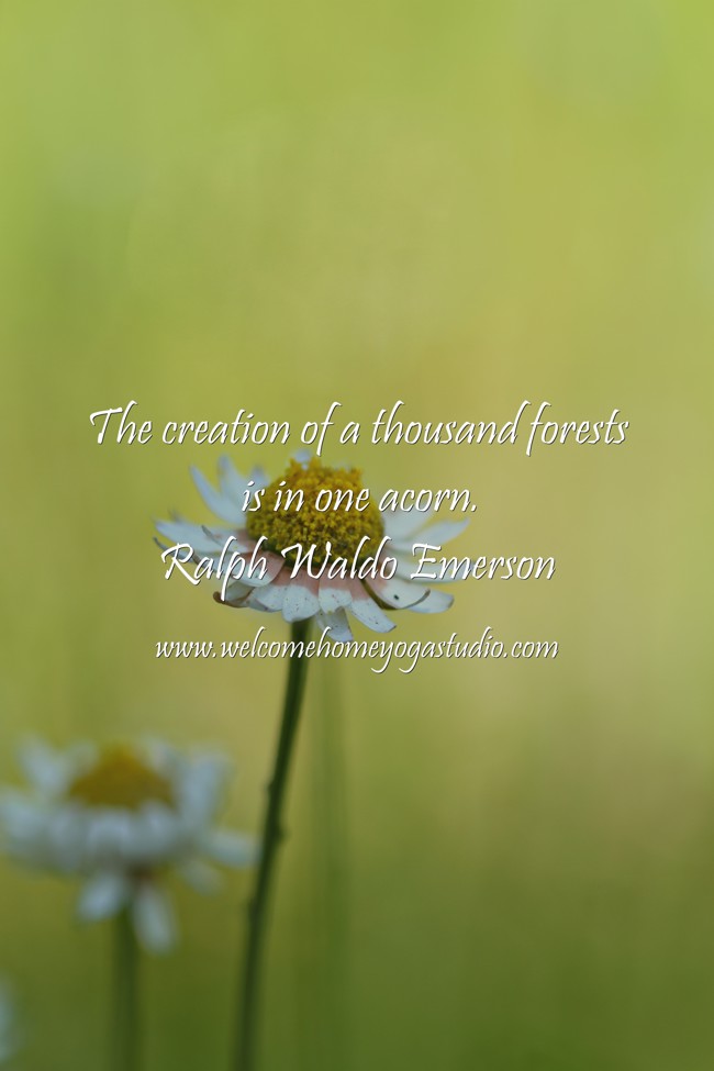 The creation of a thousand forests is in one acorn. Ralph - Quozio