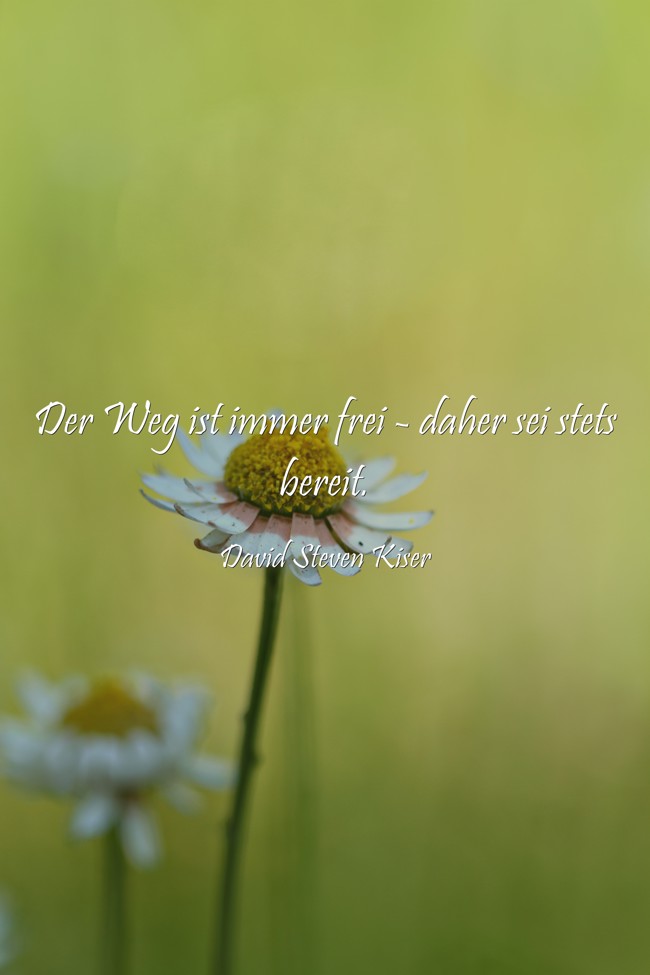 Der Weg ist immer frei - daher sei stets bereit. - Quozio