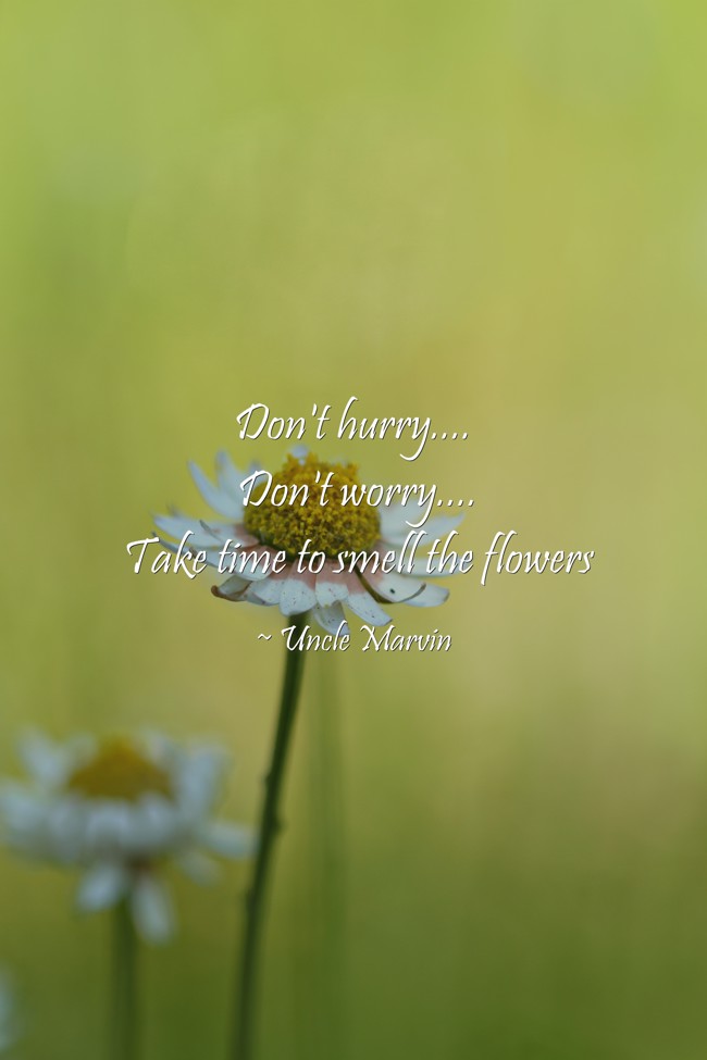 Don't hurry.... Don't worry.... Take time to smell the - Quozio