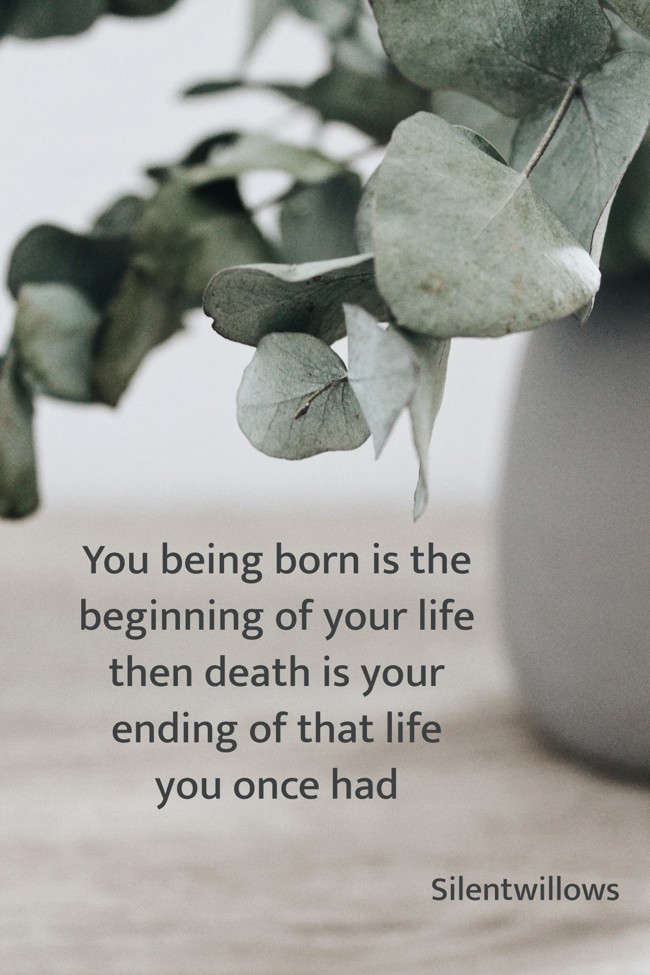You being born is the beginning of your life then death is - Quozio