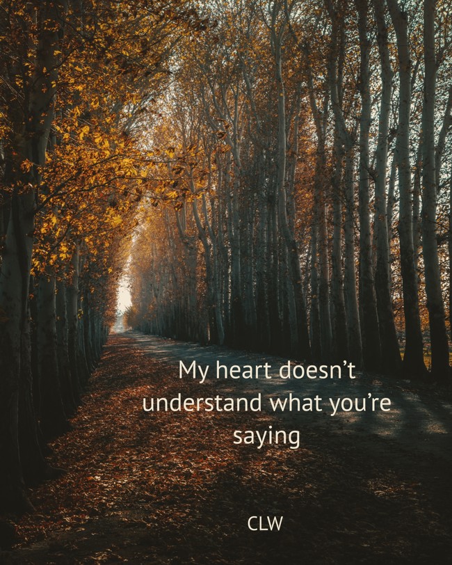My heart doesn’t understand what you’re saying - Quozio