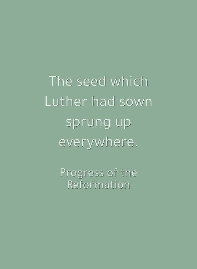 The seed which Luther had sown sprung up everywhere. - Quozio