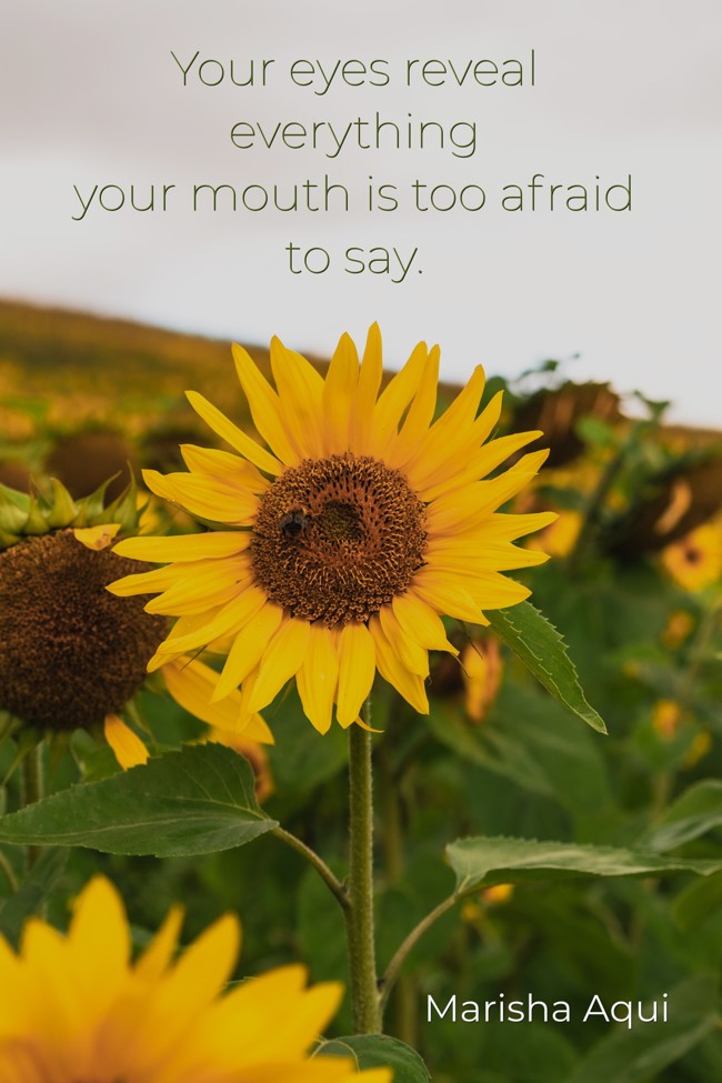 Your eyes reveal everything your mouth is too afraid to say. - Quozio