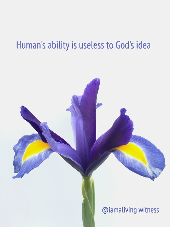 Human's ability is useless to God's idea - Quozio
