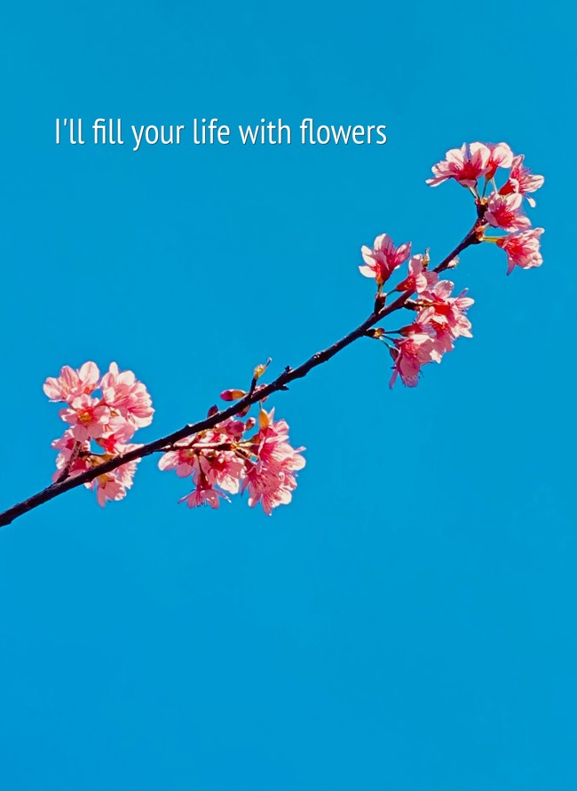 I'll fill your life with flowers - Quozio