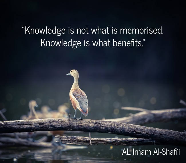 “Knowledge is not what is memorised. Knowledge is what - Quozio