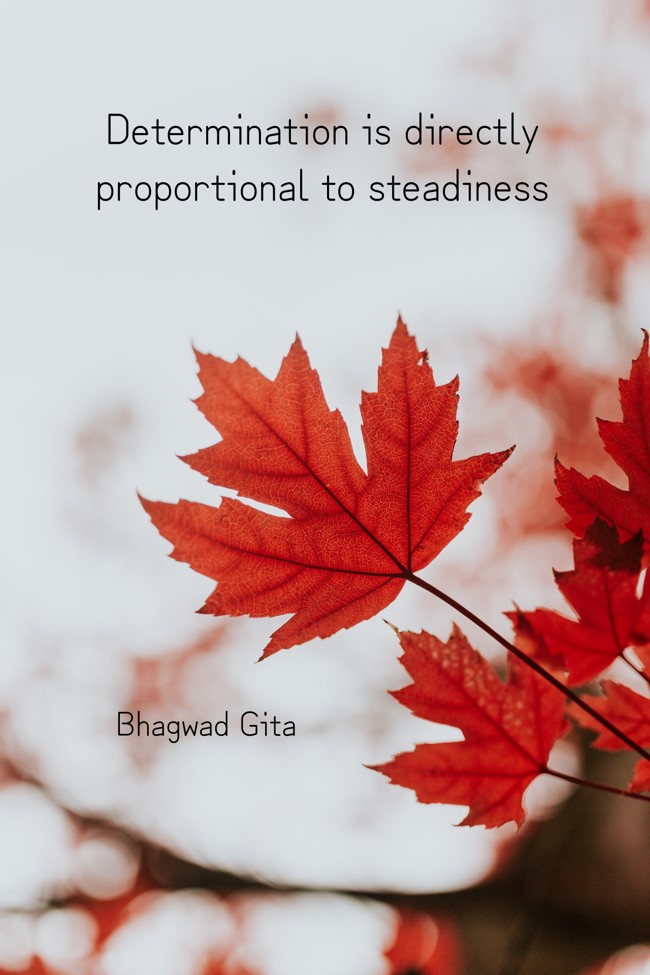 Determination is directly proportional to steadiness - Quozio