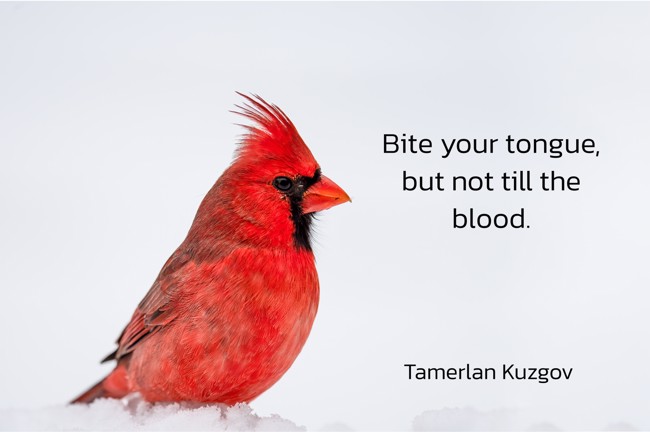 Bite your tongue, but not till the blood. - Quozio